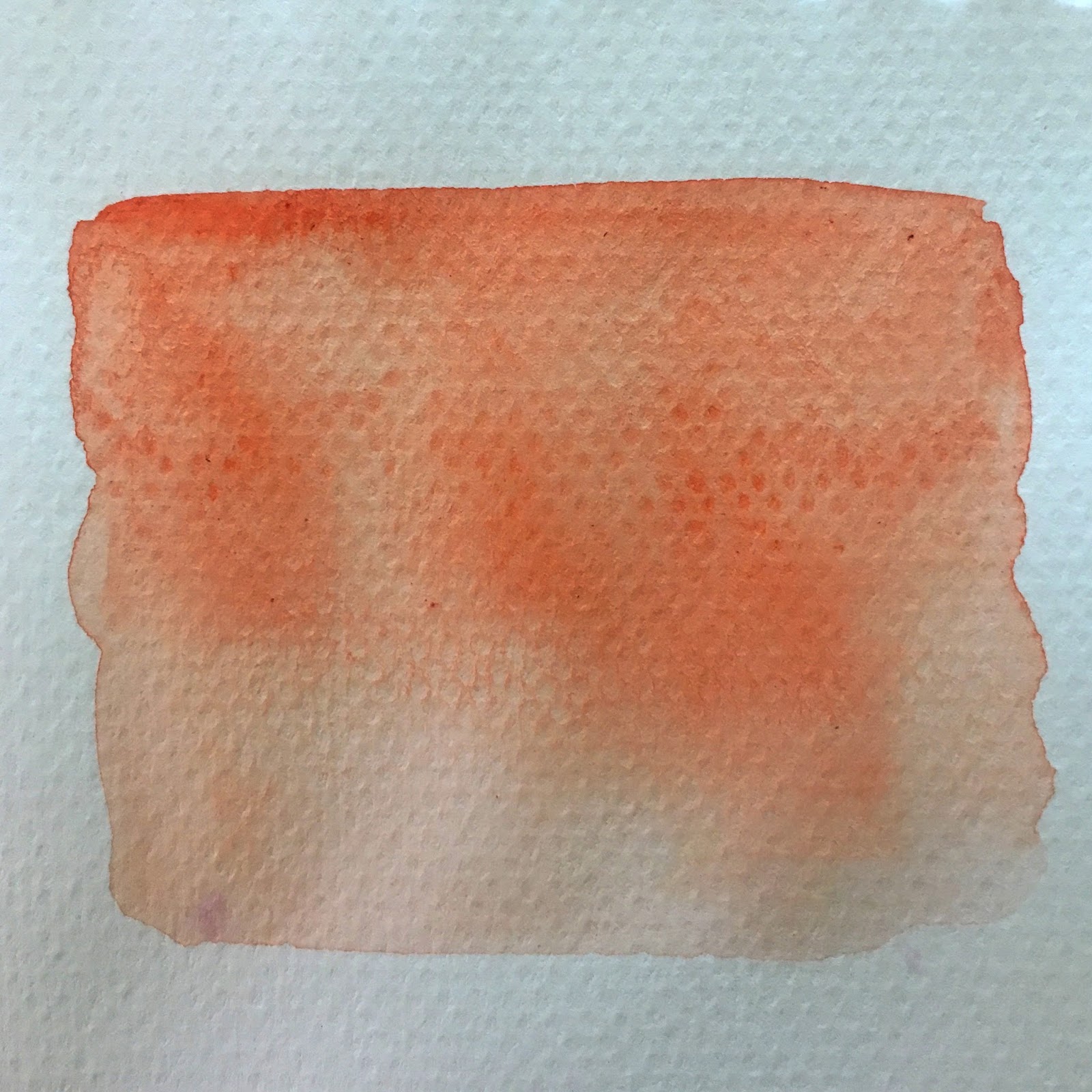 The Blooming Orchids: Basic Watercolor Washes Tutorial