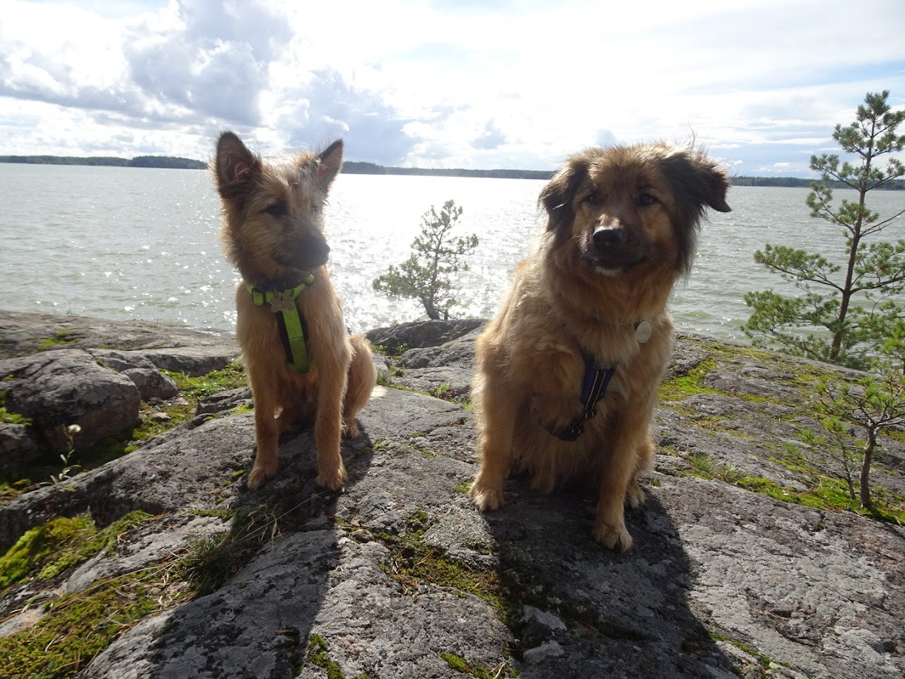 Onnea Uuteen Kotiin :)