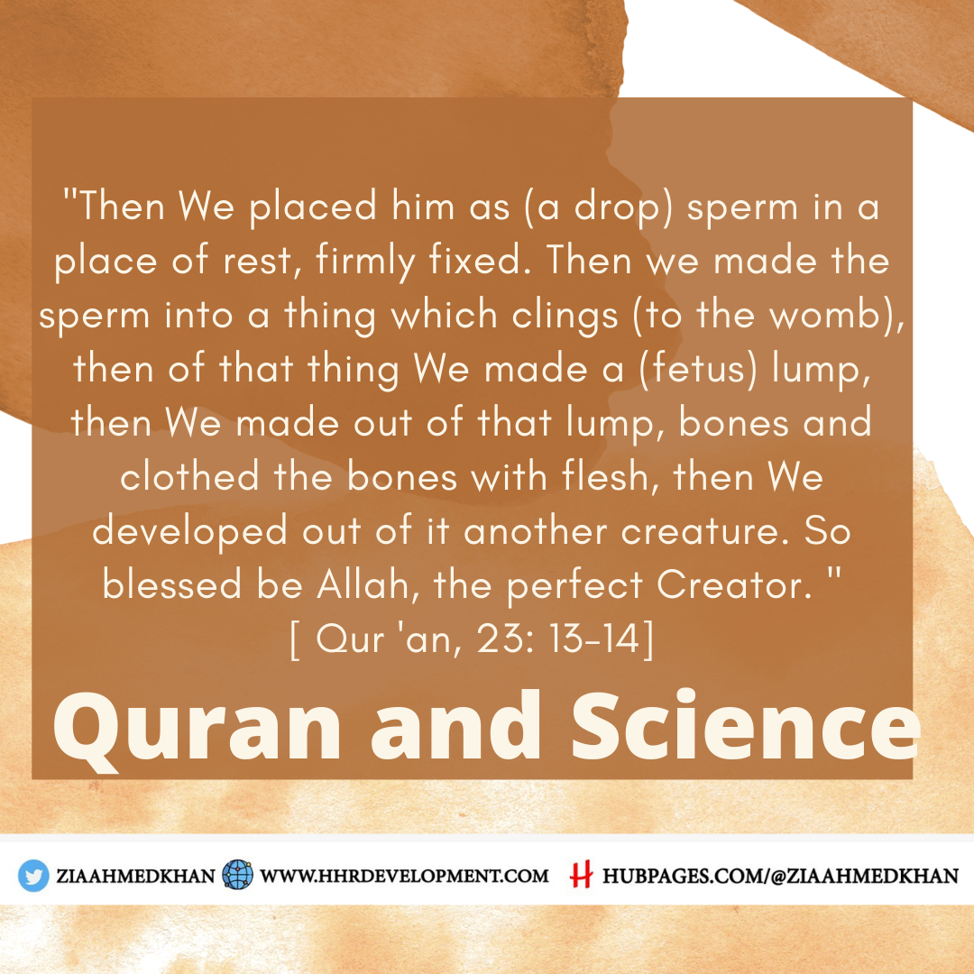 Holistic Life Solution : Quran and Science