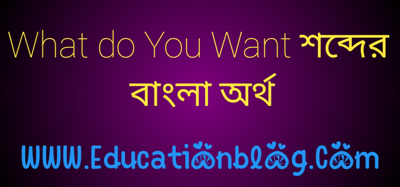What Do You Want What Do You Want Meaning In Bengali what-do-you-want-what-do-you-want-meaning-in-bengali
