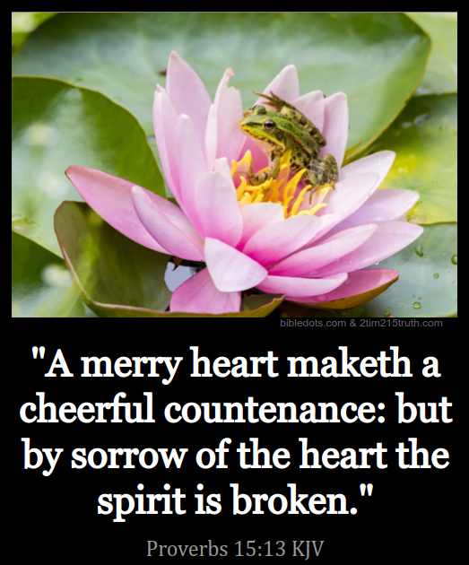 2 Timothy 2:15 Truth: Verse of the Day: Proverbs 15:13 KJV