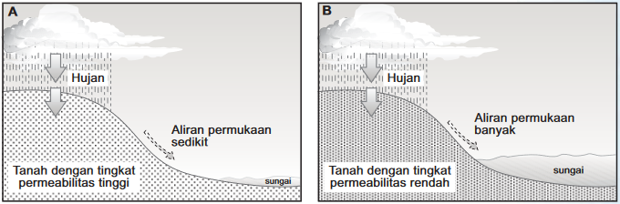 Erosi Tanah : Pengertian, Jenis, Penyebab, Dampak, Cara Mengatasi dan ...
