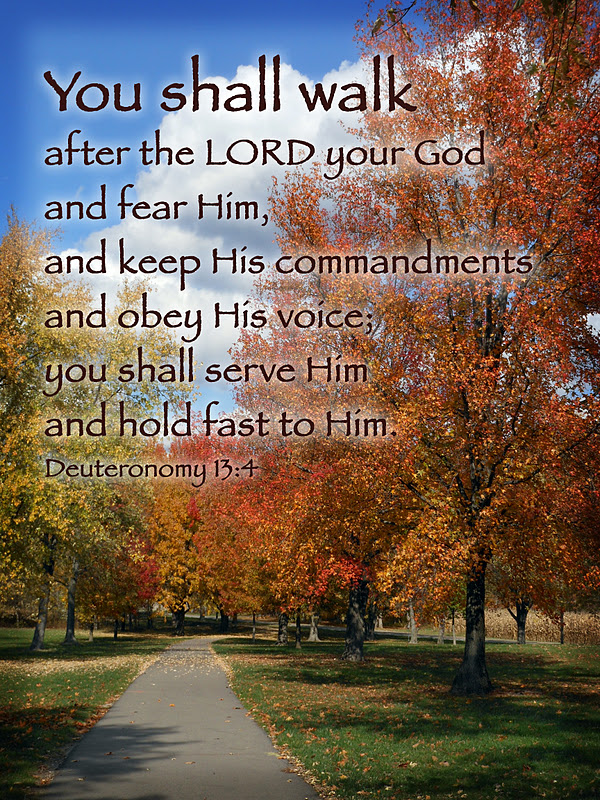 Lily-Fashion: He Knows My Path