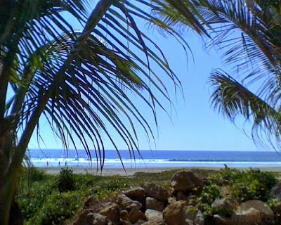 Playa Troncones, Guerrero