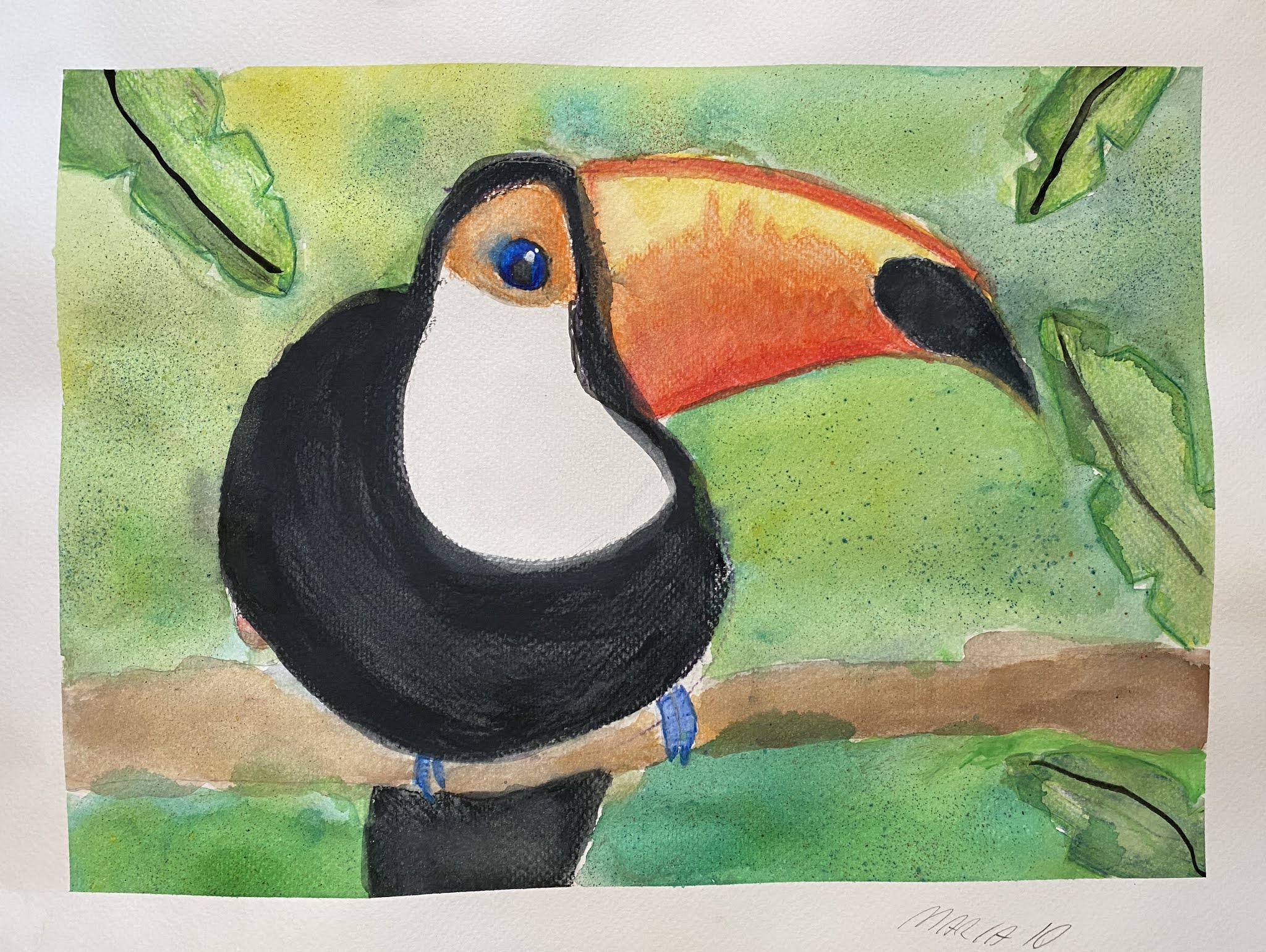 Toucan Drawing For Kids