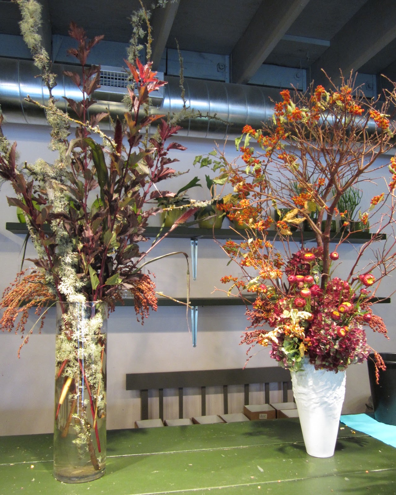 Sammy’s Flowers: November 2012