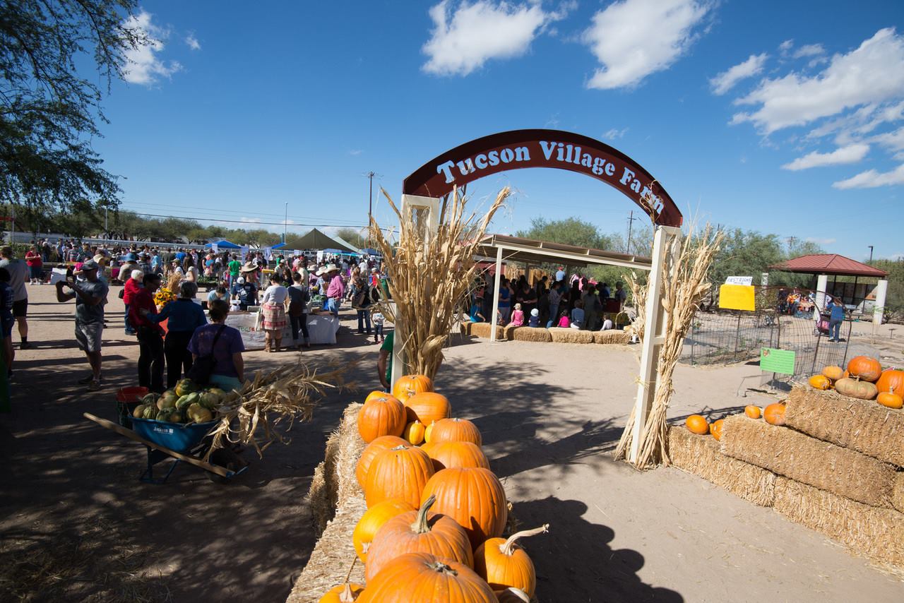 Sustainable Living Tucson: Autumn in Tucson: Let the Festivities Begin ...