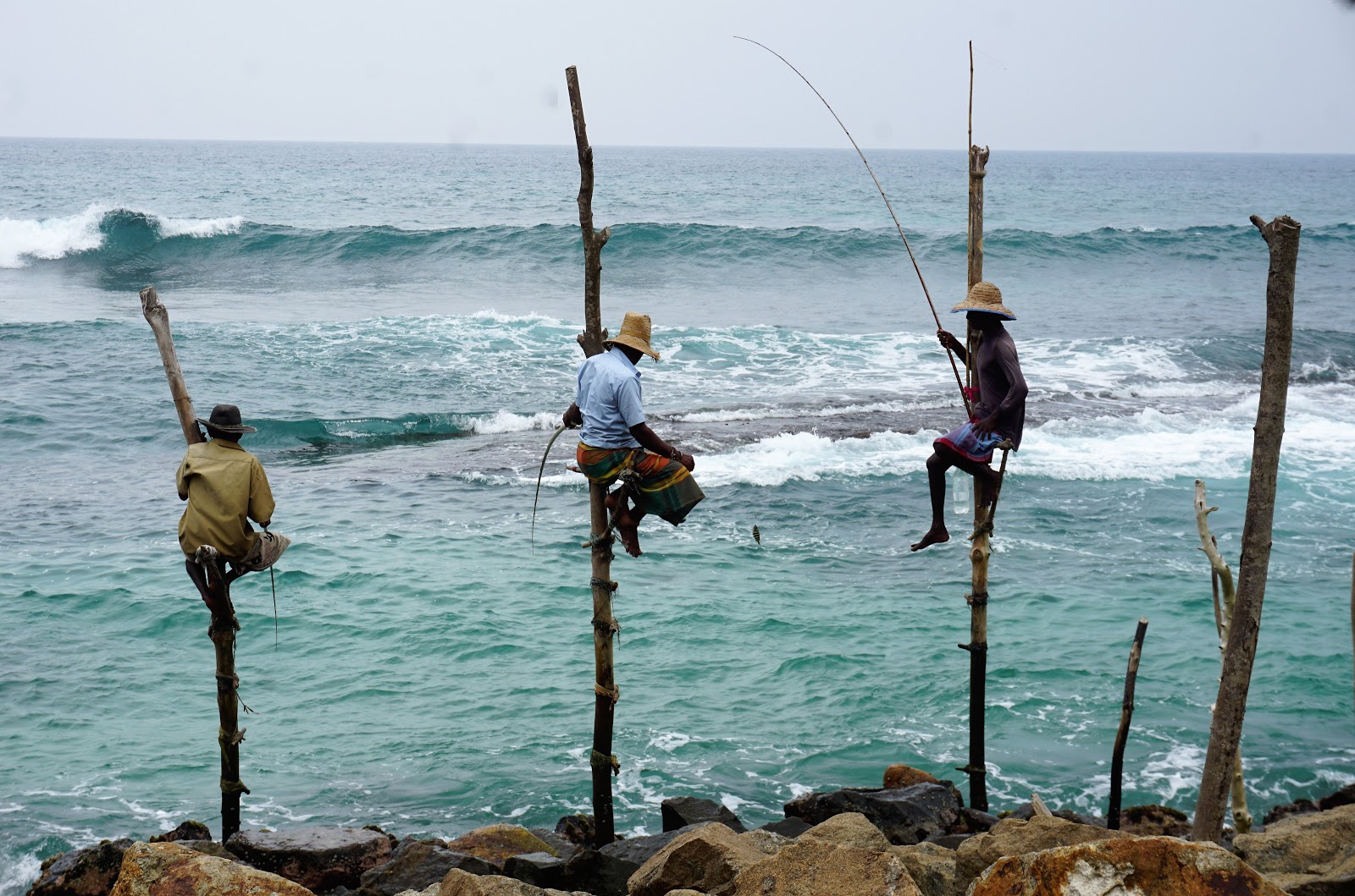 Souvenir Chronicles: SRI LANKA: ICONIC FISHERMEN, A SEA TURTLE ...