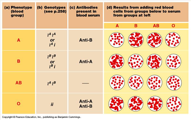I Biology: Hereditas dan Hukum Mendell