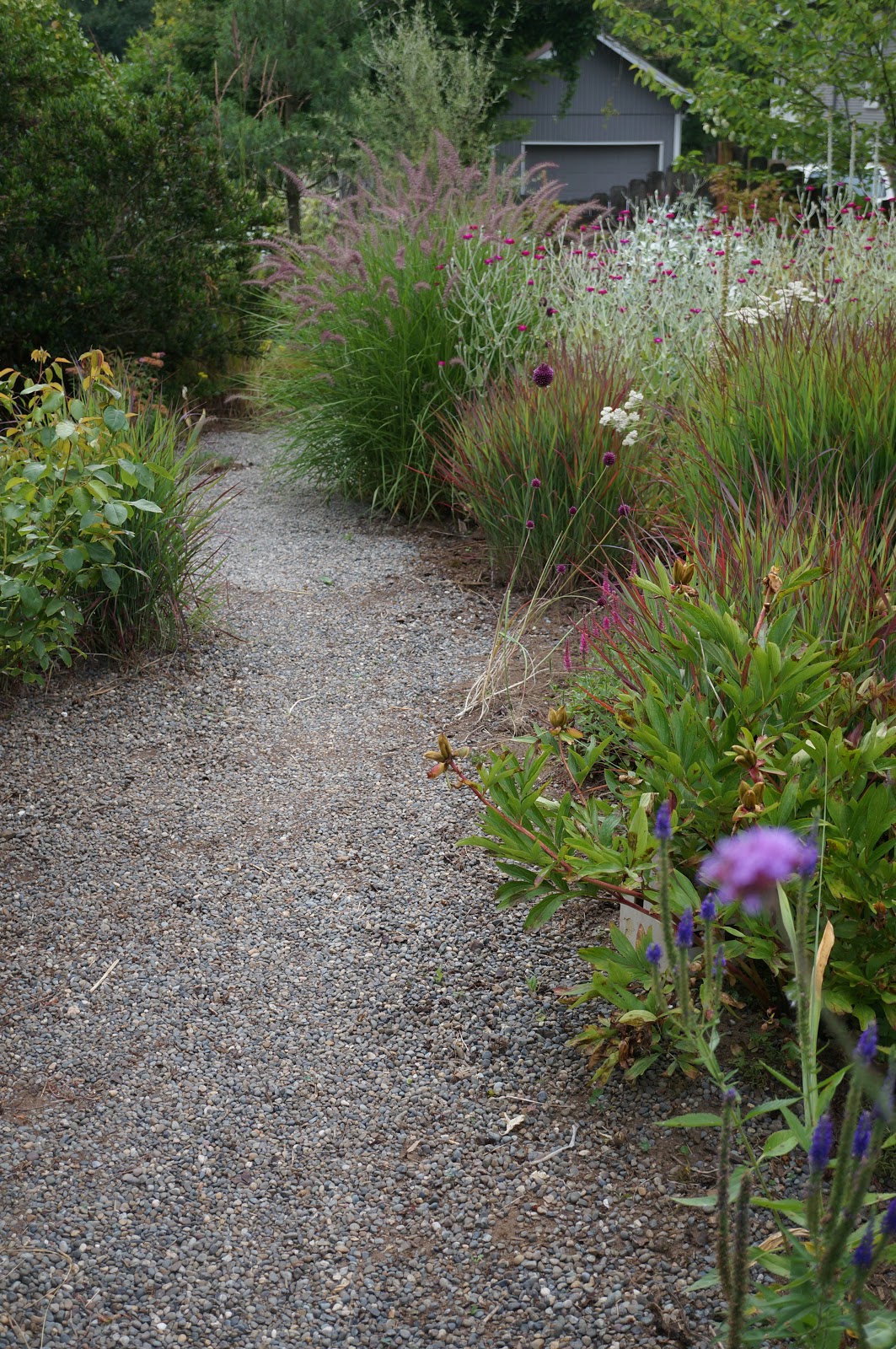 Whatsitgarden: Path clearing