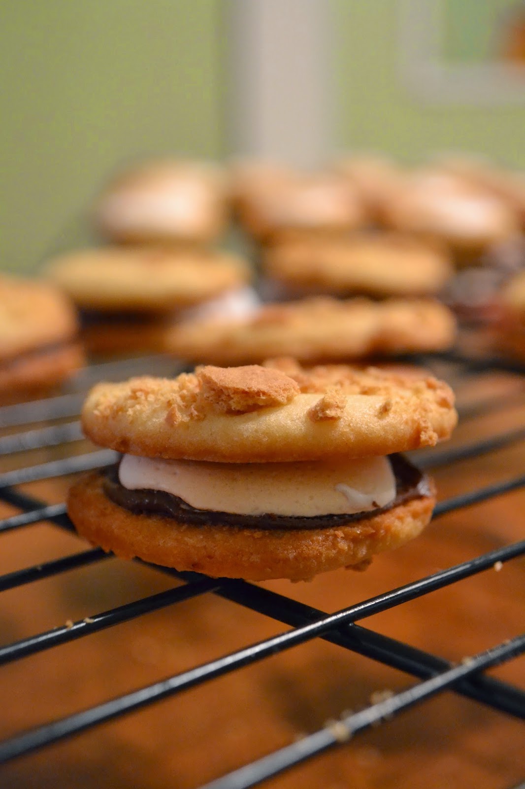 Simple Savory & Satisfying: Smores Sandwich Cookies