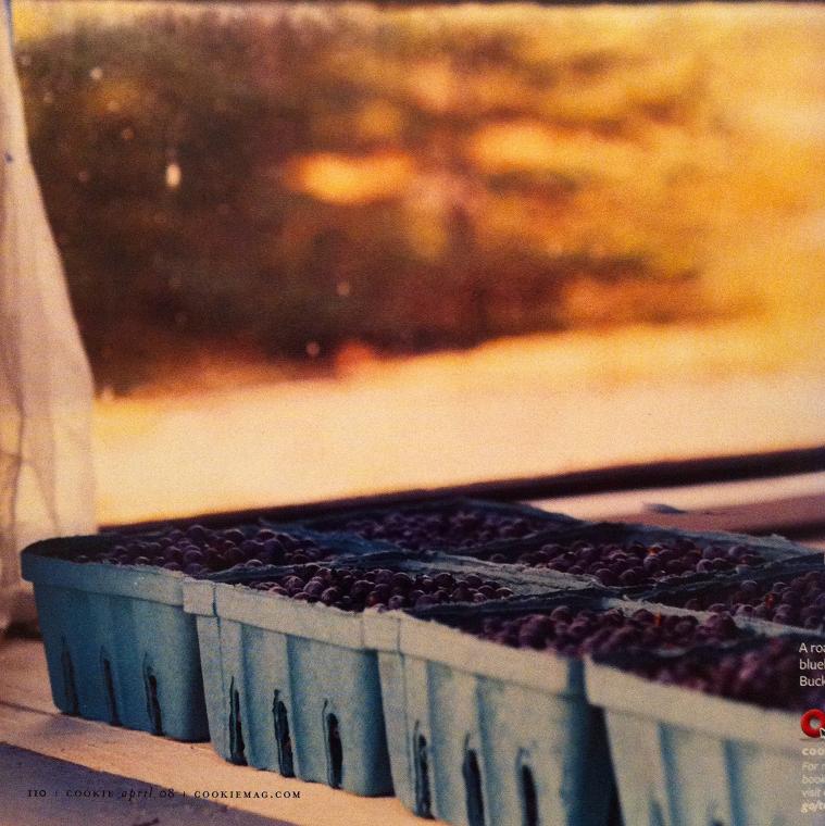 Postcards From Colorado: 600th Post: Ode to Cookie