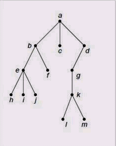 Soal tentang Tree Matematika Informatika dan Jawabannya - Alda Aladawiyah
