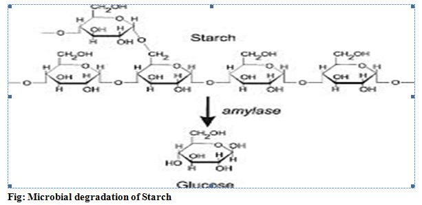 Microbial Degradation of Cellulose, starch, lipids, legnin,pectin ...