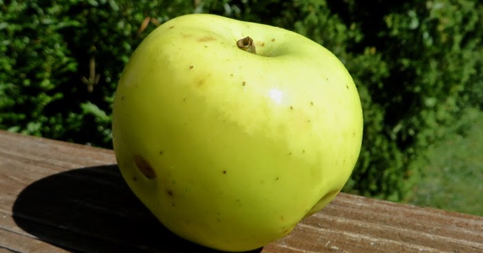 The View from Outside - Adam's Apples