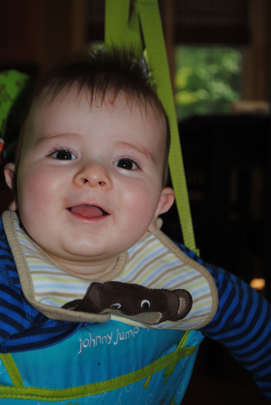 Pure Grace Seven Months pure-grace-seven-months