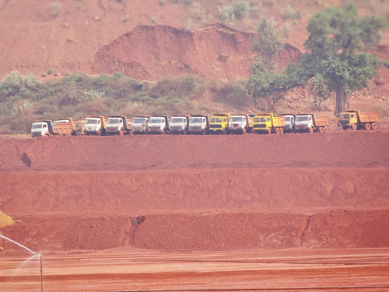 Tackling Environmental Hazards through Red Mud Management