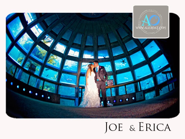 Alexandra Oat photography