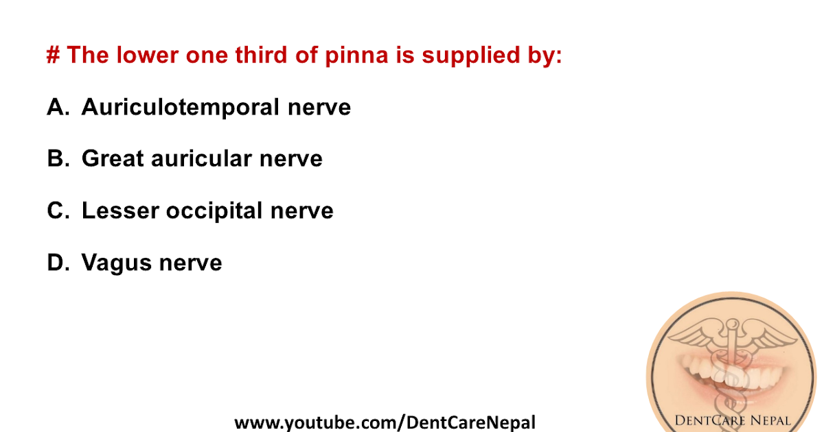 Dentosphere : World of Dentistry: Lower one third of pinna is supplied by: