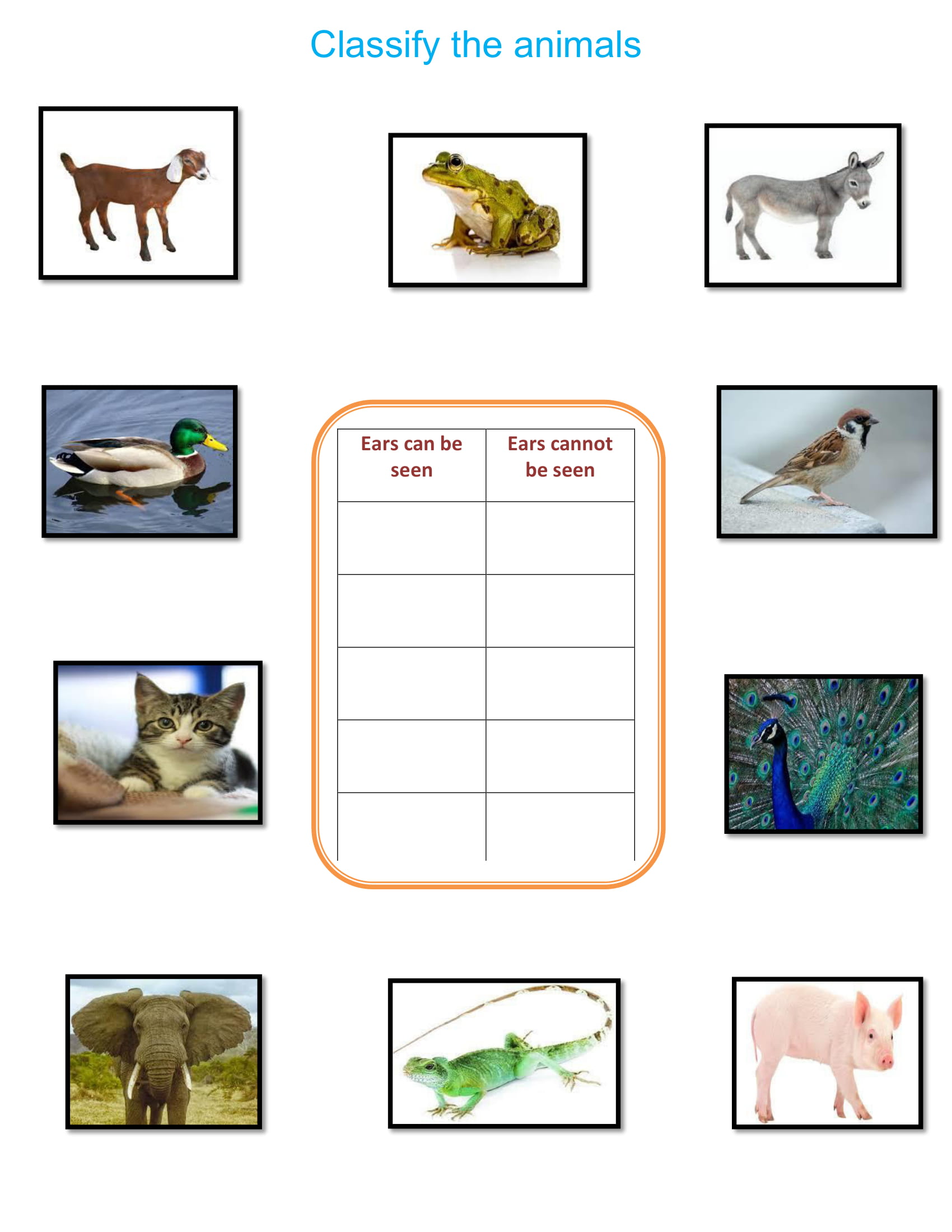 worksheets: Classify The Animals