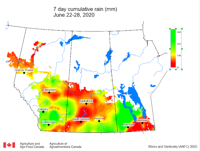 Prairie Pest Monitoring Network Blog