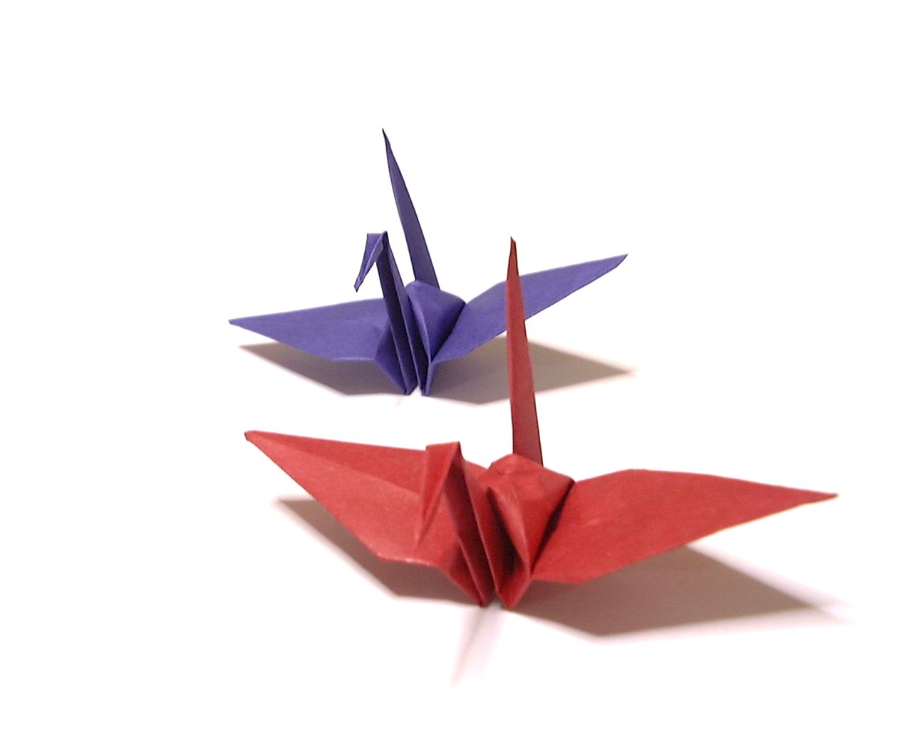 Japan Origami Gay Sharing Japan Origami Gay Sharing