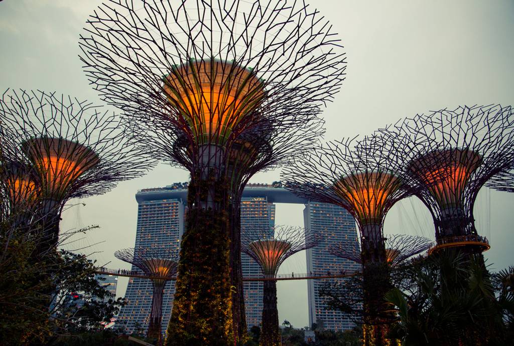 The Supertrees of Singapore ~ Kuriositas