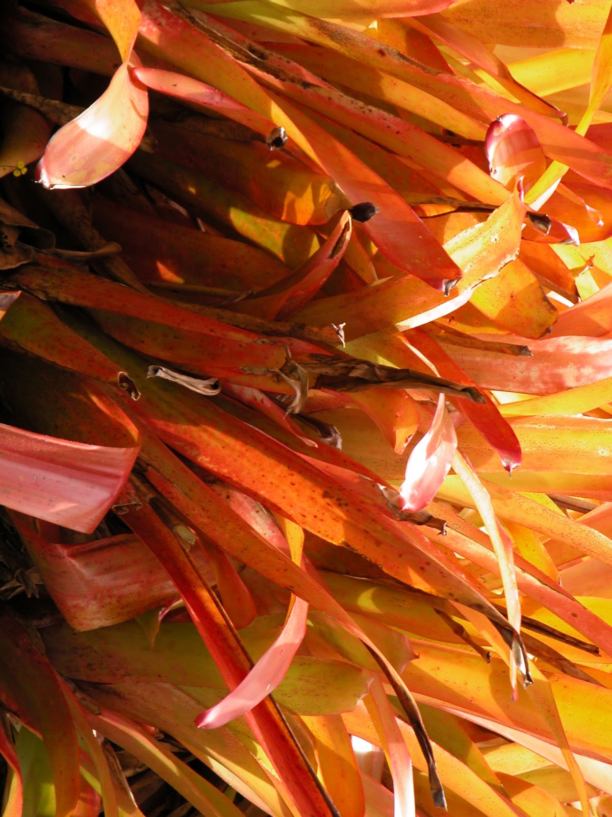 Photo Collage Project – Yvette Stenzel Studio in Boston