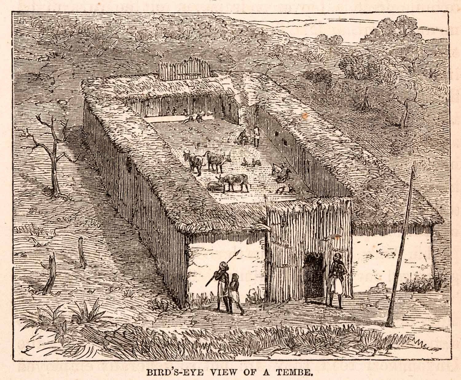 Adventures In Lead: "The Petite Race for Africa" African Tembe Build