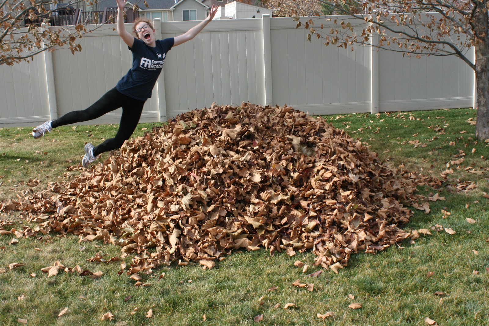 happy as the sun: autumn leaves falling down like pieces into place.