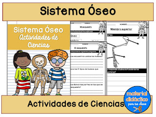 El Sistema Óseo - Material Didactico para tus clases
