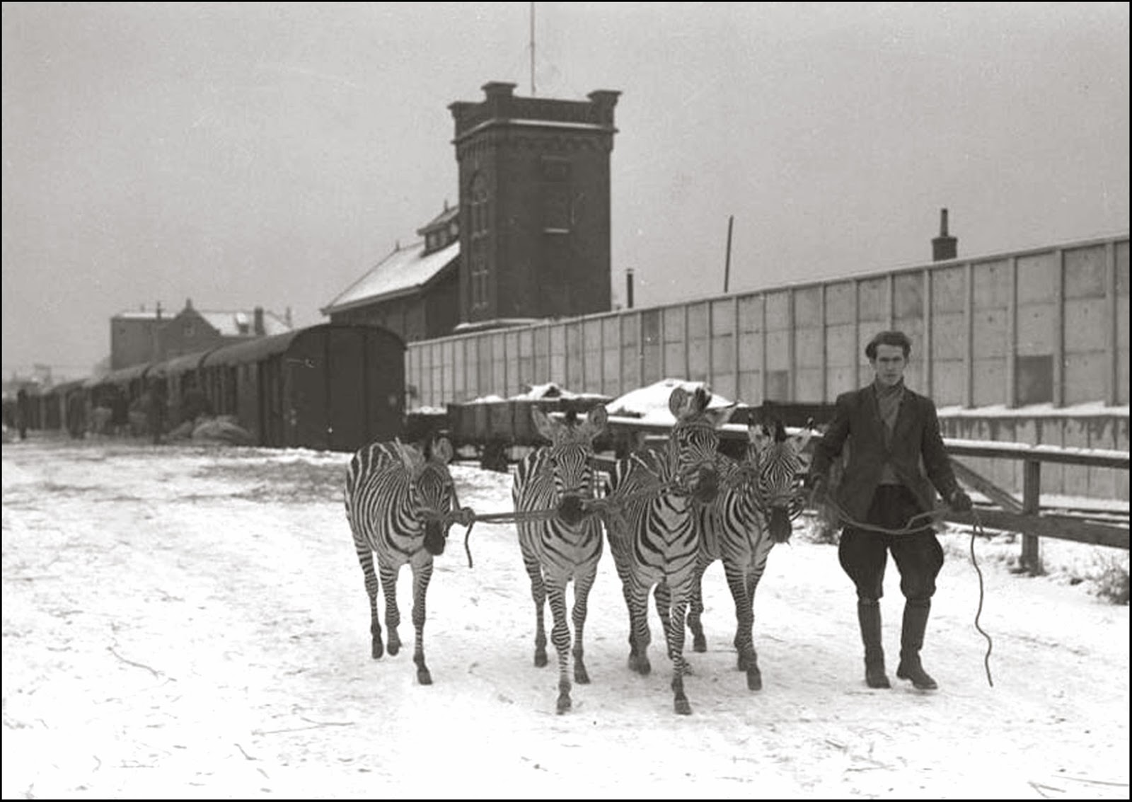 Buckles Blog: STRASSBURGER #9