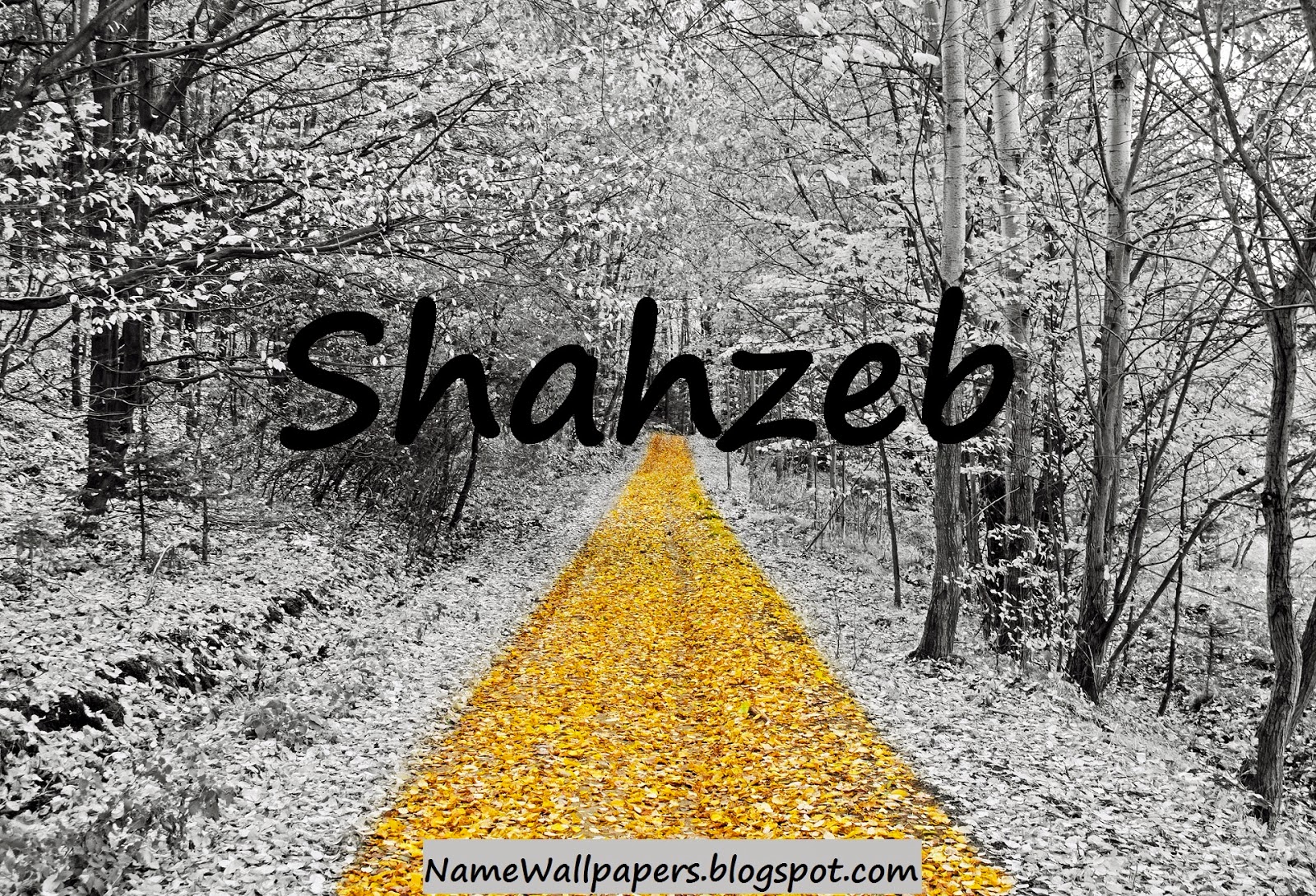 Shahzeb Name Wallpapers Shahzeb ~ Name Wallpaper Urdu Name Meaning Name ...