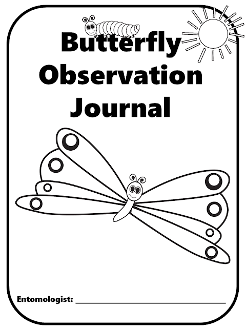 Colors and Kindergarten: Butterfly Observation