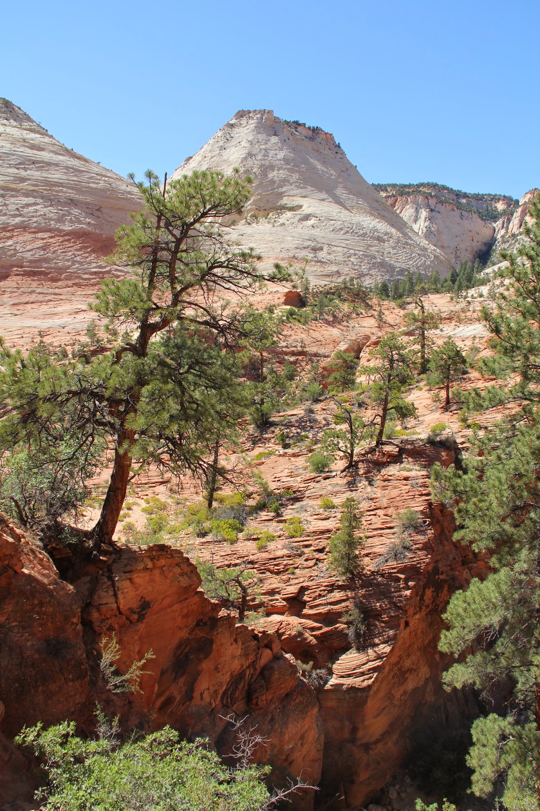 Beit Emmett: Keyhole Canyon and Zion Narrows