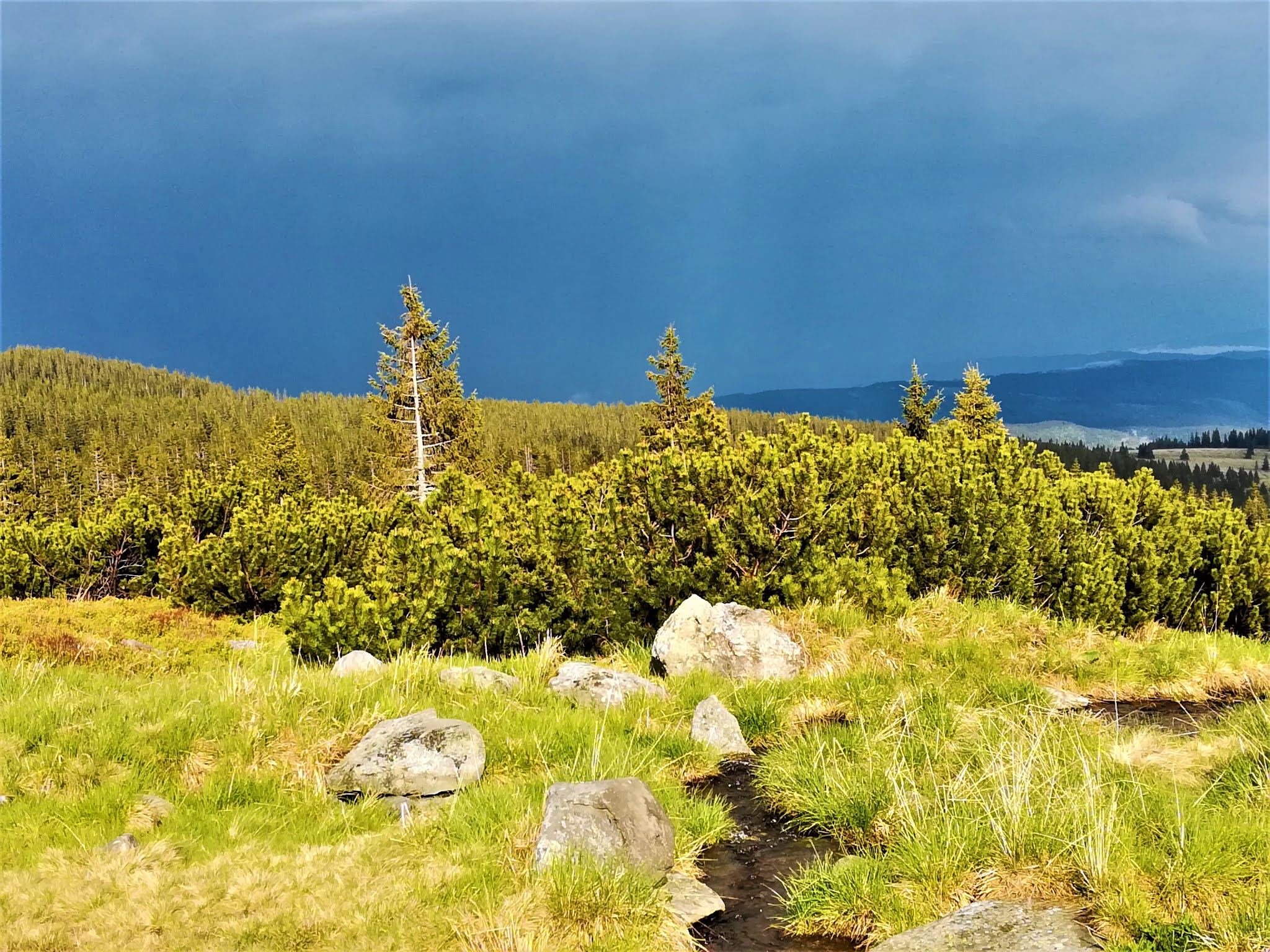 Traseu 6: Toplita - Lacul Iezer/Rezervatia Calimani (traseu off-road)