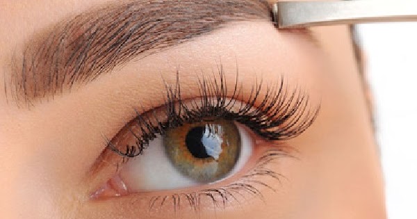 Lashmaker: How to dye eyelashes with henna at home: step by step ...