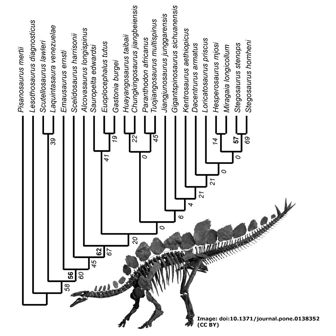 Species New to Science: [Paleontology • 2017] A New Phylogeny of ...