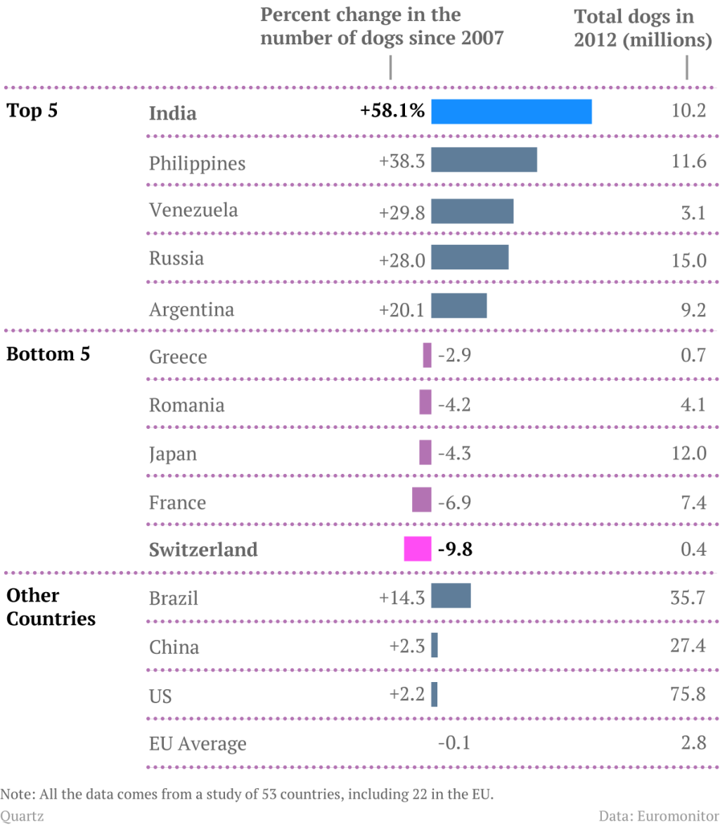 Hold A Paw: Stray Dogs - Knowing Them.
