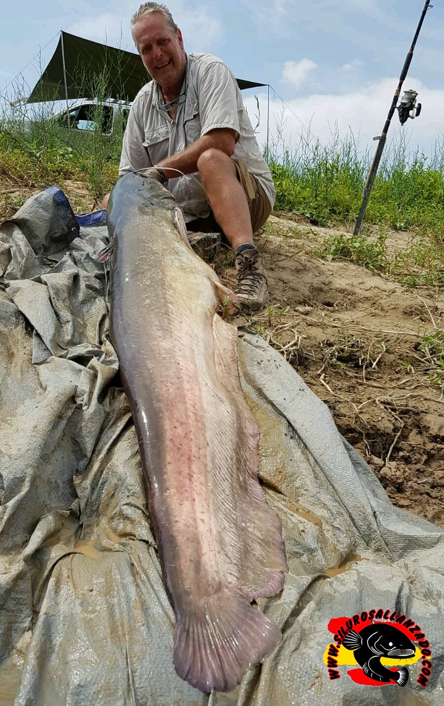GUIDE DE PÊCHE DU SILURE ET DU SANDRE À MEQUINENZA: LES SILURES DE L’EBRE