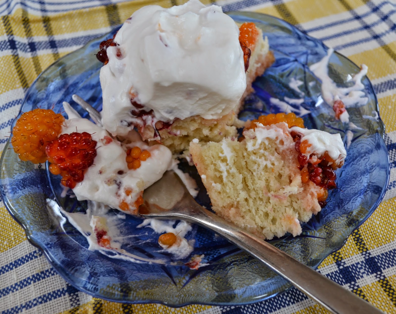 Run 'n Stitch: Salmon Berry Shortcake