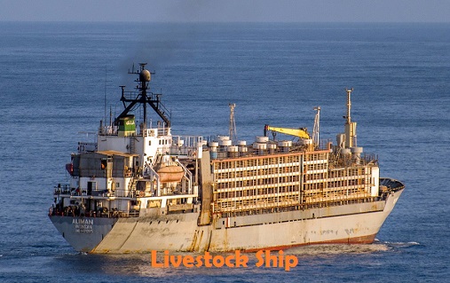 Jenis - Jenis Kapal dan Fungsinya Beserta Gambar - Bagian 1 - Ilmu ...