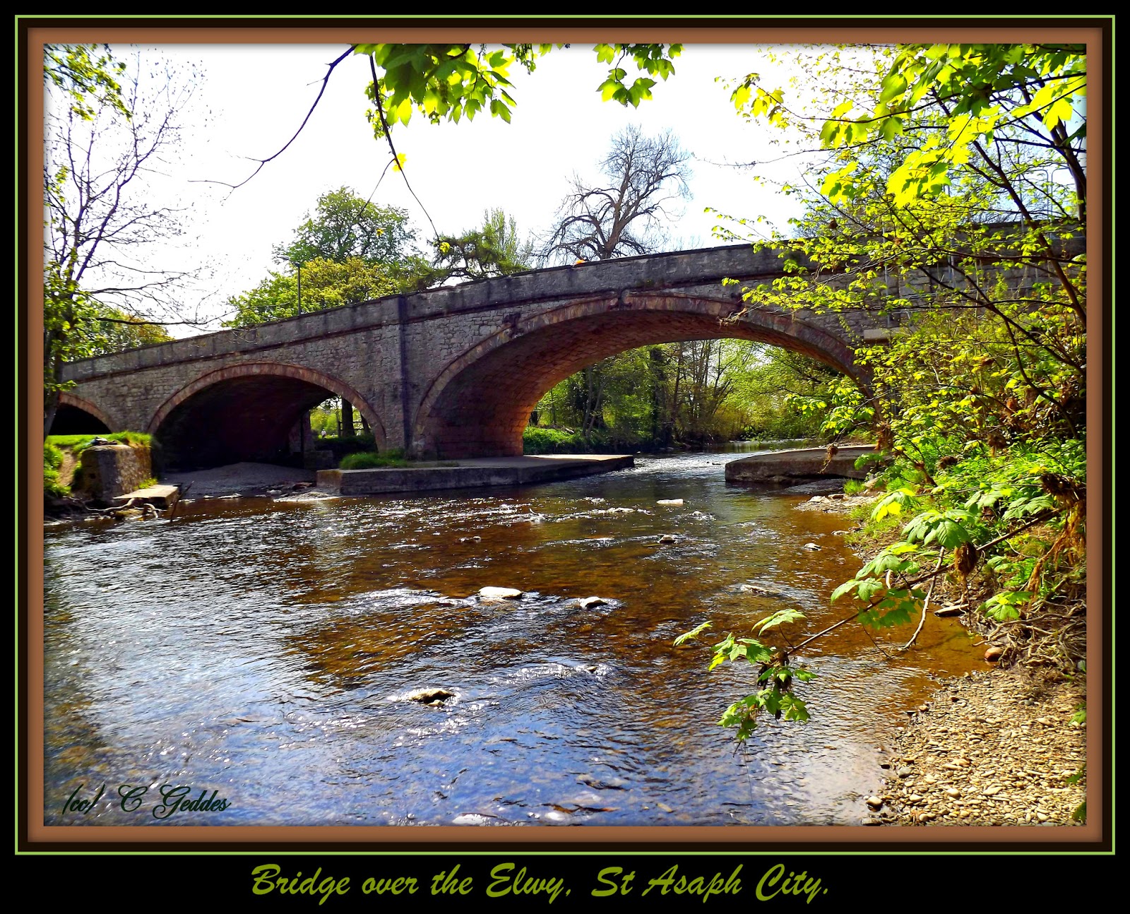 River Elwy and surrounding area Birds, wildlife and more.: Photographs ...