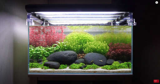 Easy Aquascape Tutorial