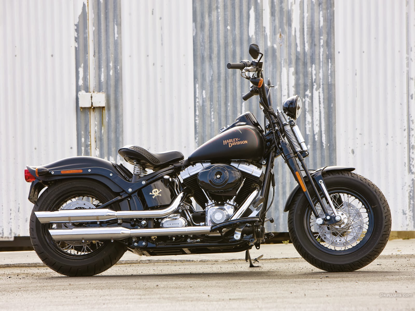 Harley Davidson FLSTSB Cross Bones - Harley Davidson Motor