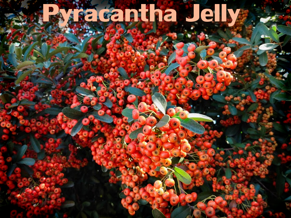 The Merry Needle: World War II Pyracantha Berry Jelly