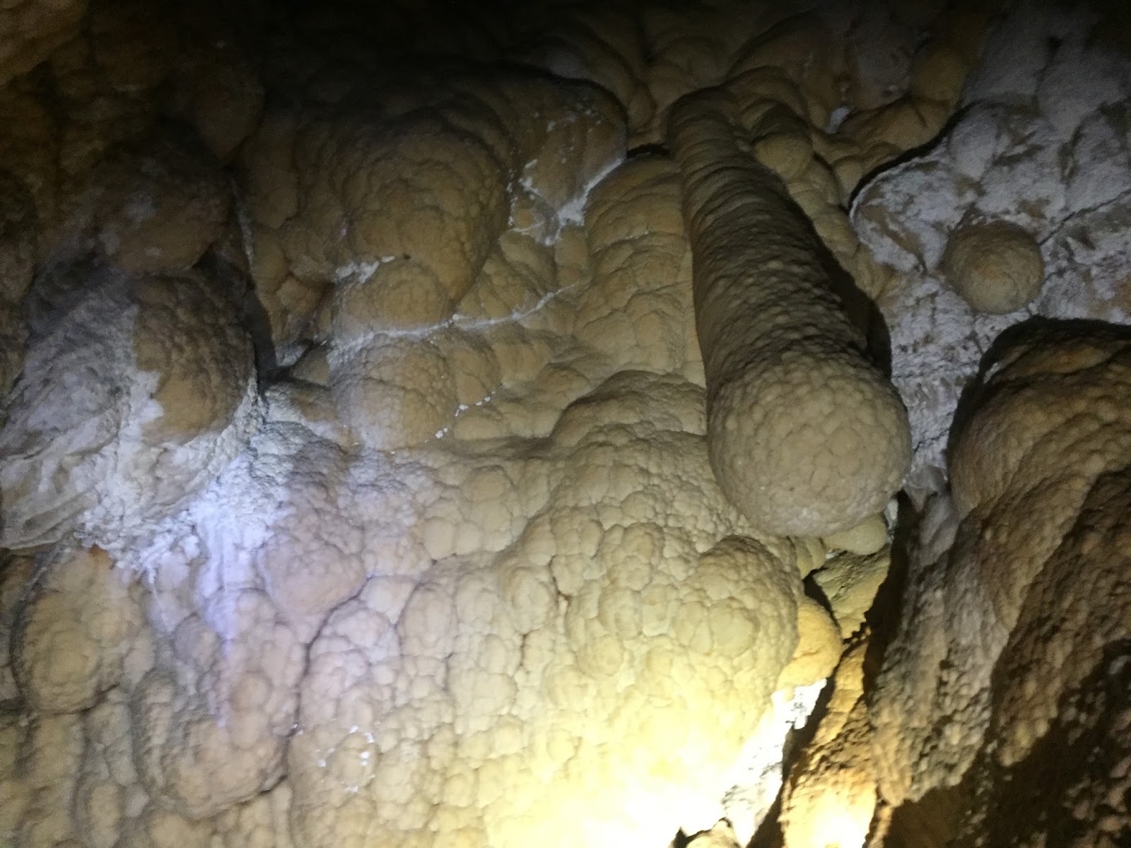 The Kruse Chronicles Continue in Cocoa, Florida: Caving again ...