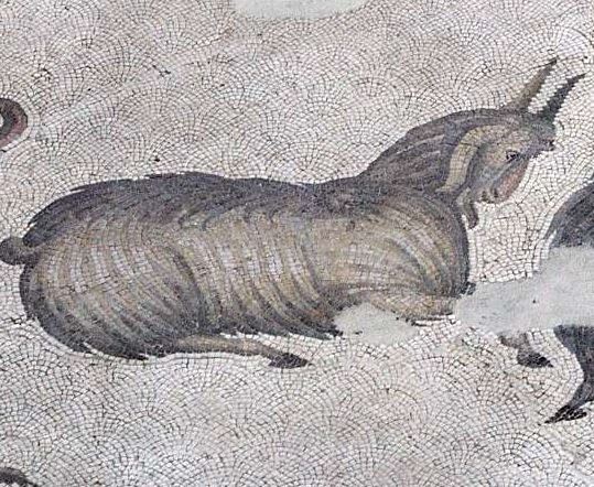 bensozia: Byzantine Mosaics of Animals