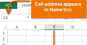 Excel Spiders: Introduction to Cells
