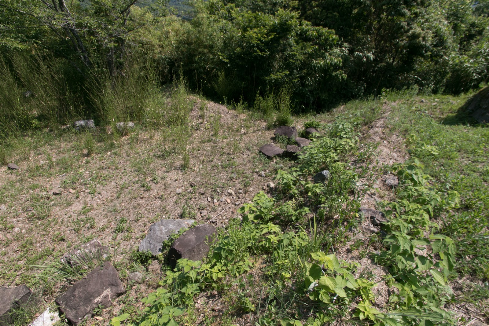 Sashiki Castle -Small masterpiece of excellent castle builder- | Ken's ...